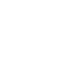 VIDA Deepfake Shield